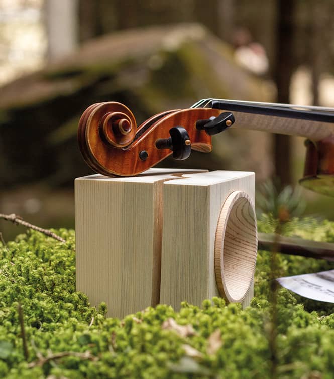 VAIA | face what matters