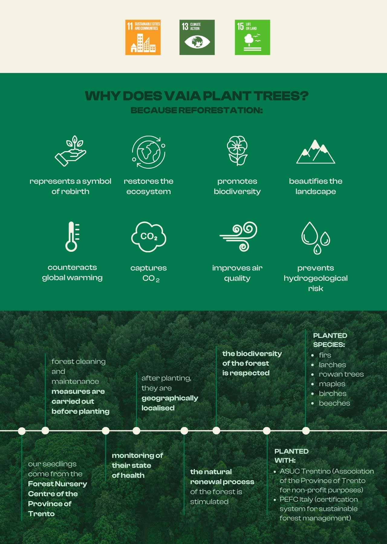 Dolomites Project | 250.000 Trees planted | VAIA